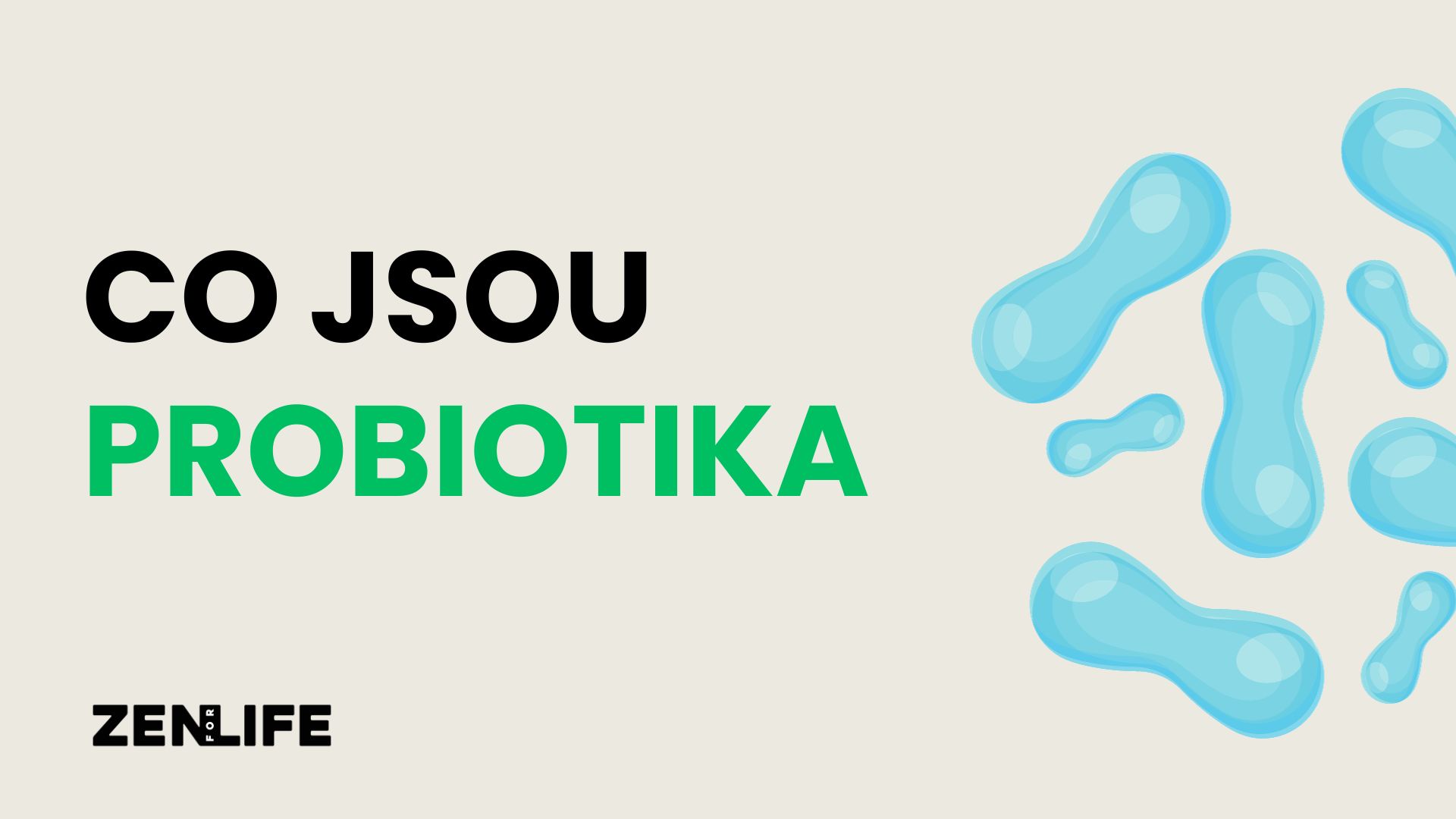 Co jsou to probiotika a proč je zařadit do jídelníčku? - Zenforlife